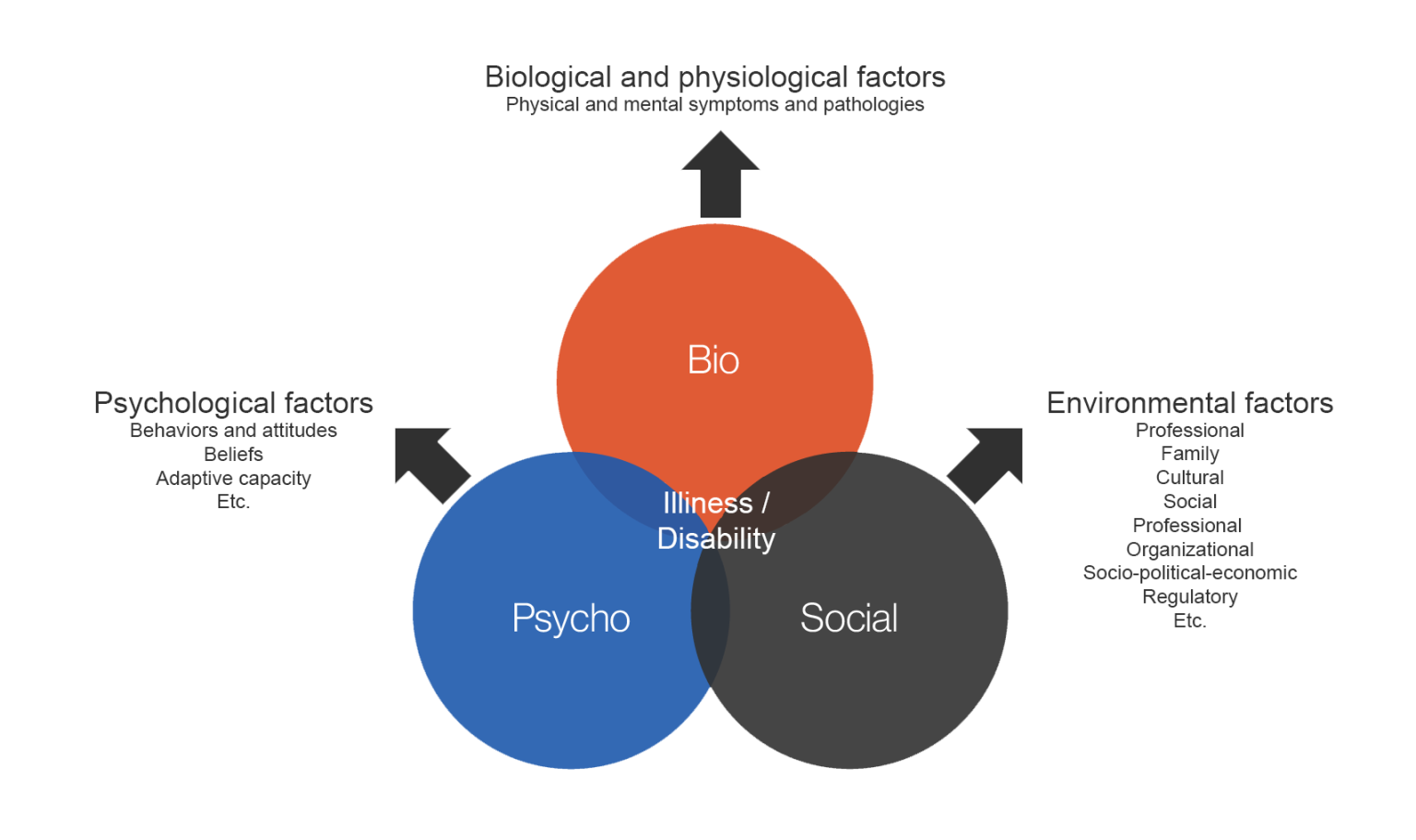 Appendix 4.A - Biopsychosocial Model – L'incapacité et le retour au travail